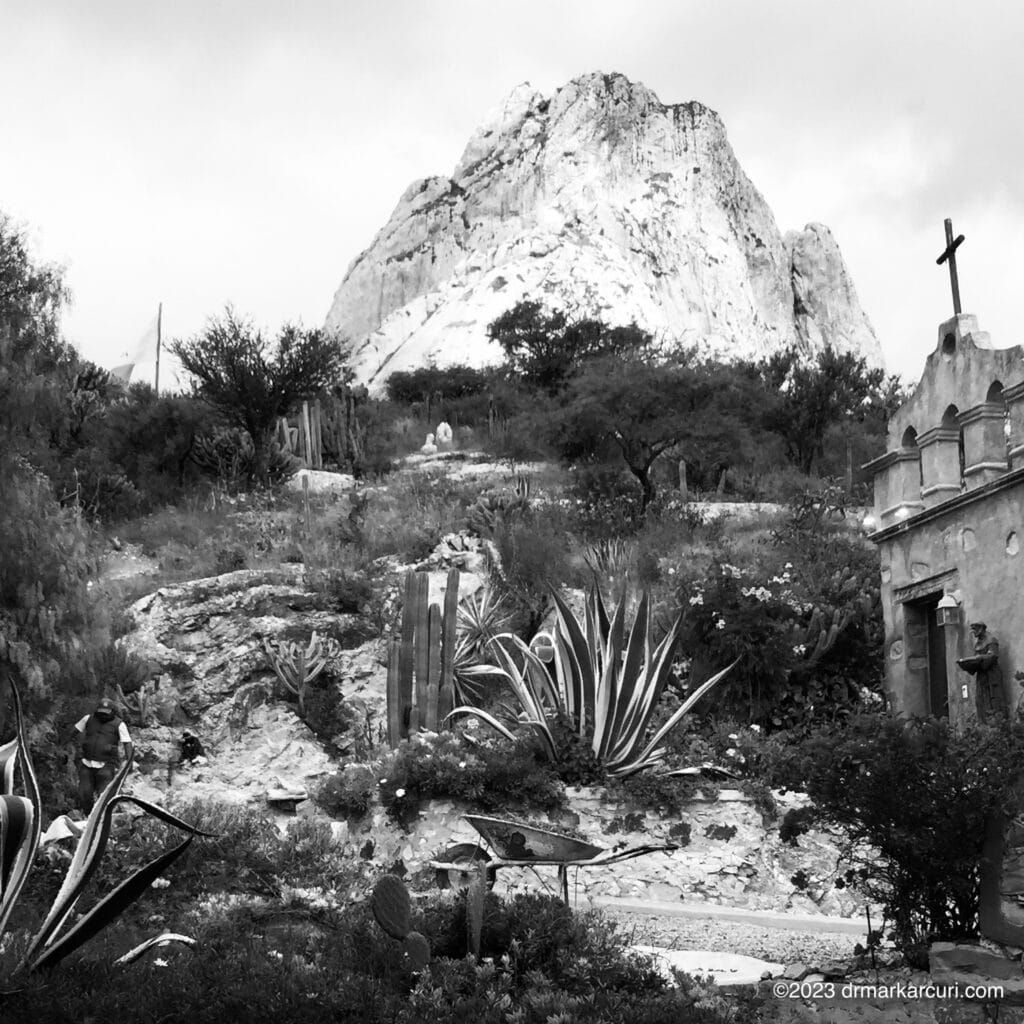 Rediscovering Authenticity: Reflections on the Changing Meaning of Life ...